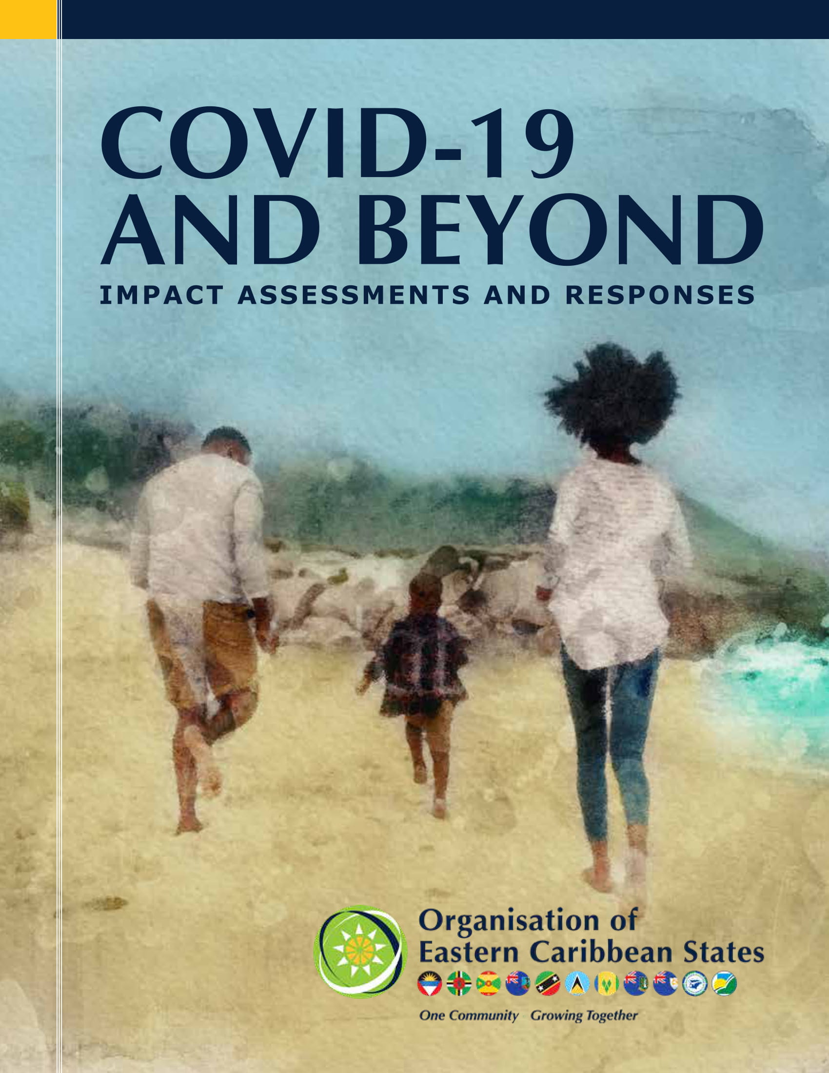 COVID 19 and Beyond Impact Assessment and Responses