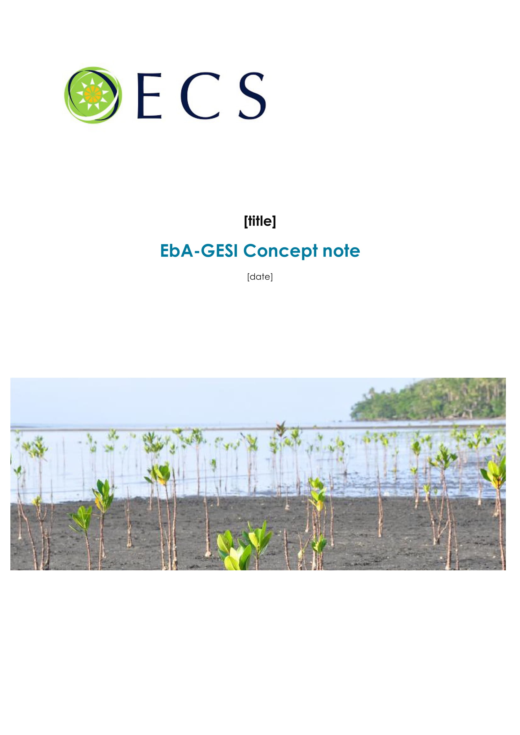 EBA & GESI Concept Note Template