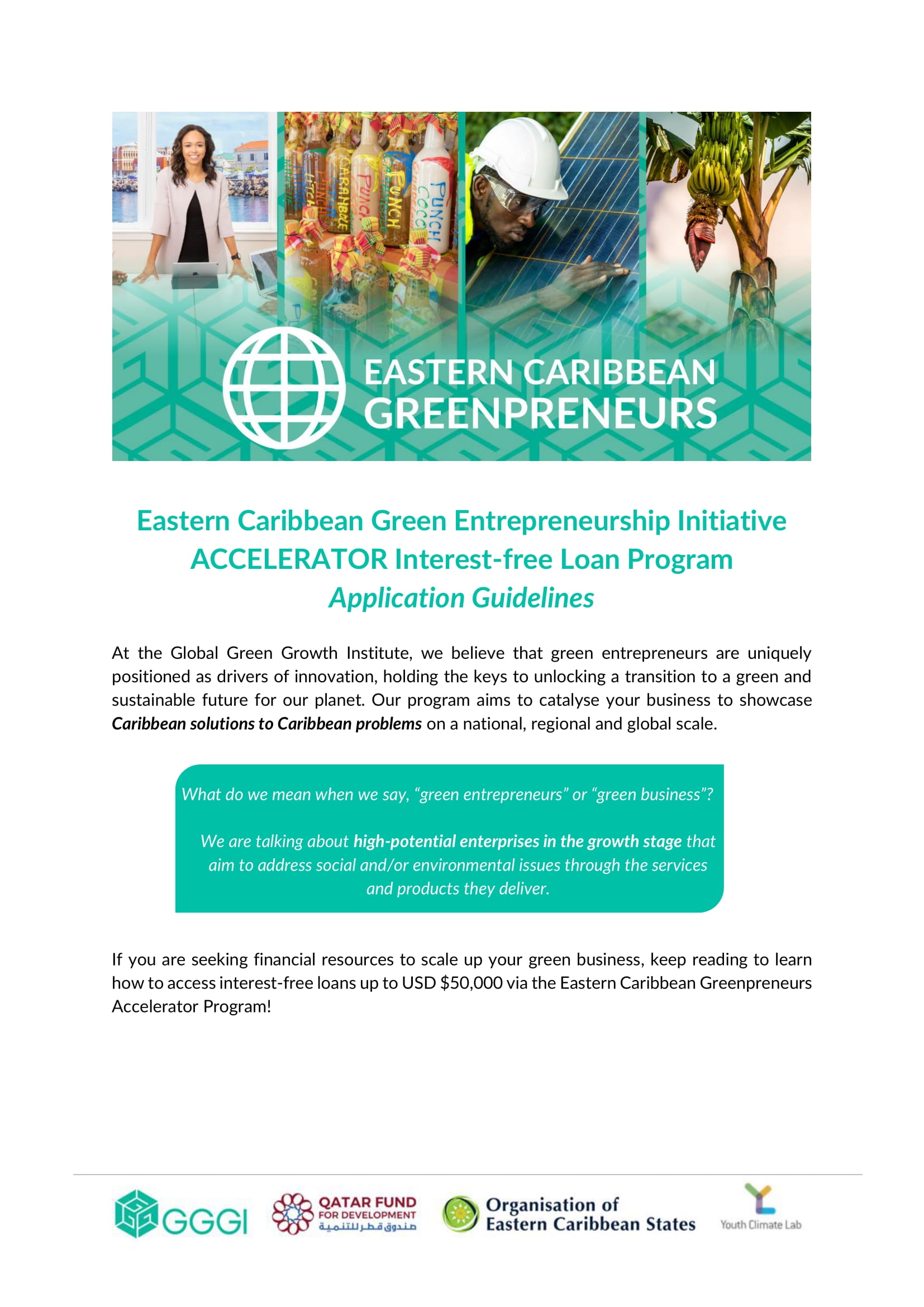 Greenpreneur Accelerator Application Guidelines