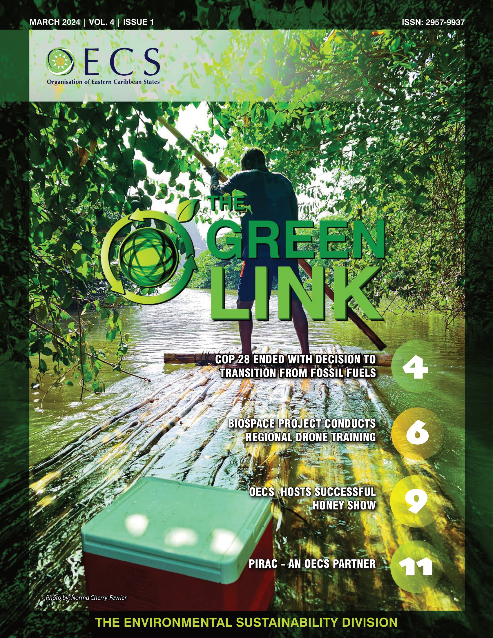The Green Link Newsletter